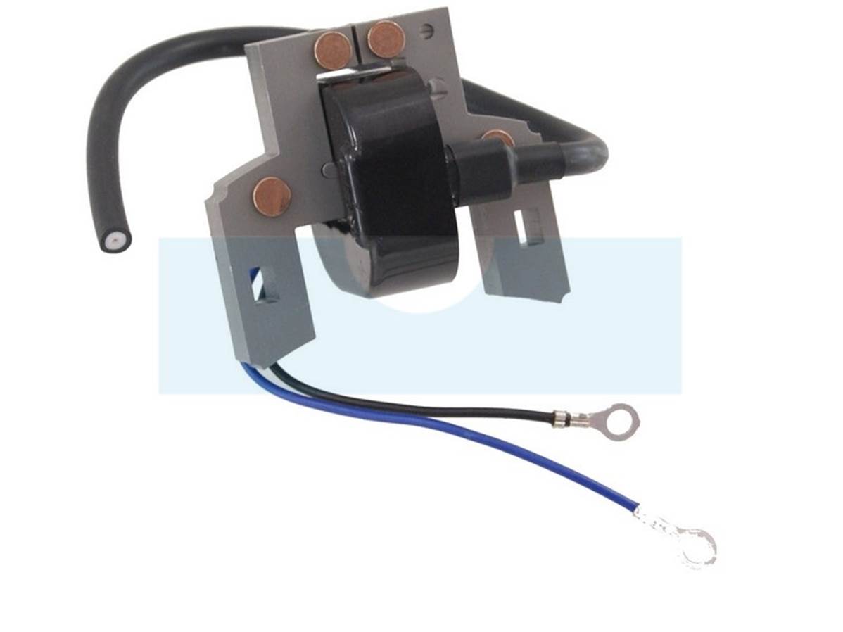 Bobine d'allumage pour moteur Briggs & Stratton (298316) 130200 ...