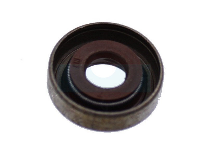 Joint de queue de soupape pour moteur Briggs & Stratton (590410 ... Joint de queue de soupape pour moteur Briggs & Stratton (590410 ...