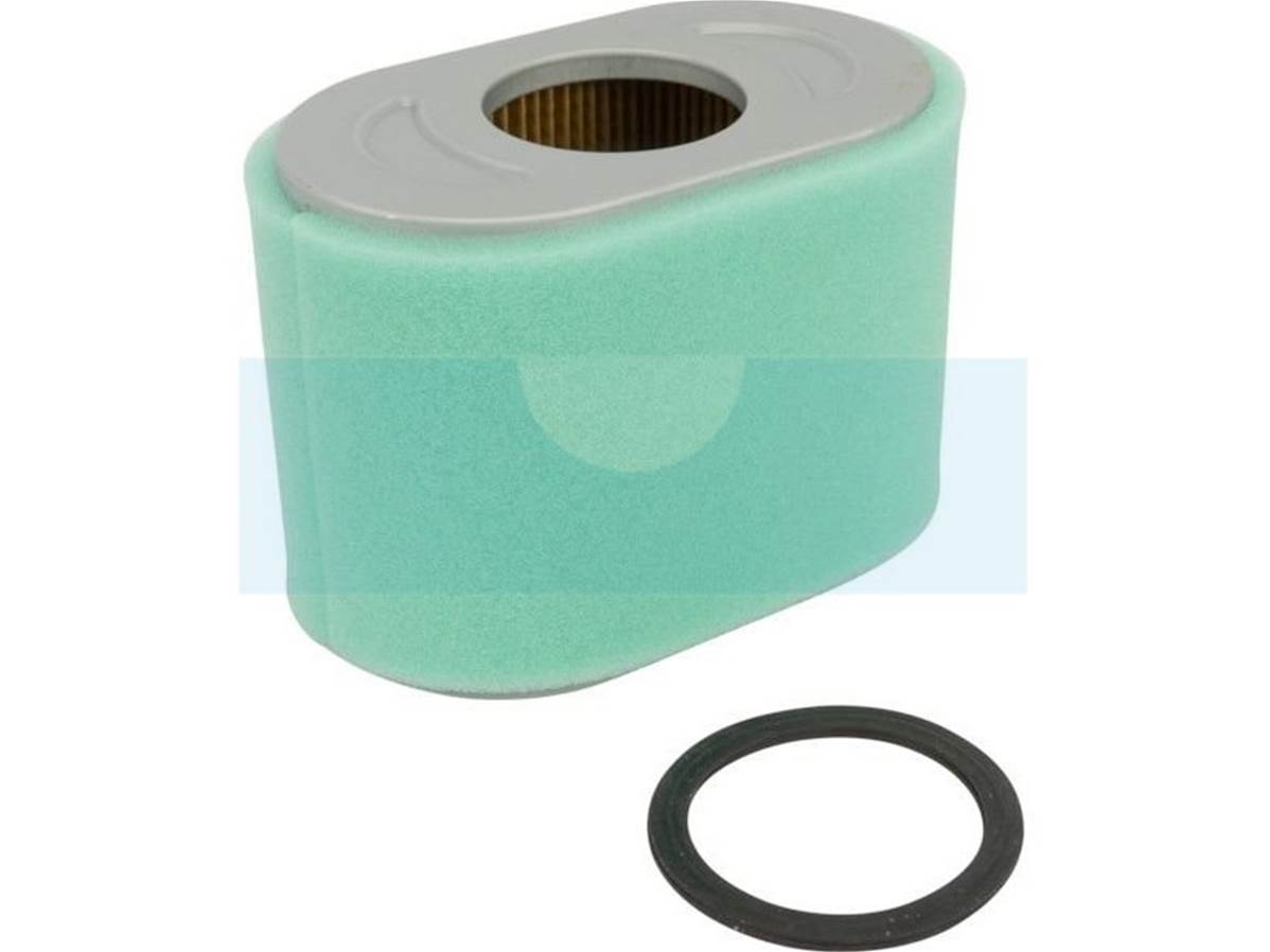 Filtre à air moteur Briggs et Stratton 797032 - Motoculture-Distri-Piece.Fr