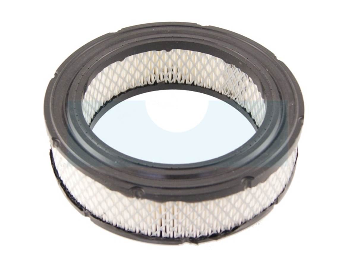 Filtre à air Briggs et Stratton 692519 / 806232 / 652519 [moteur ...