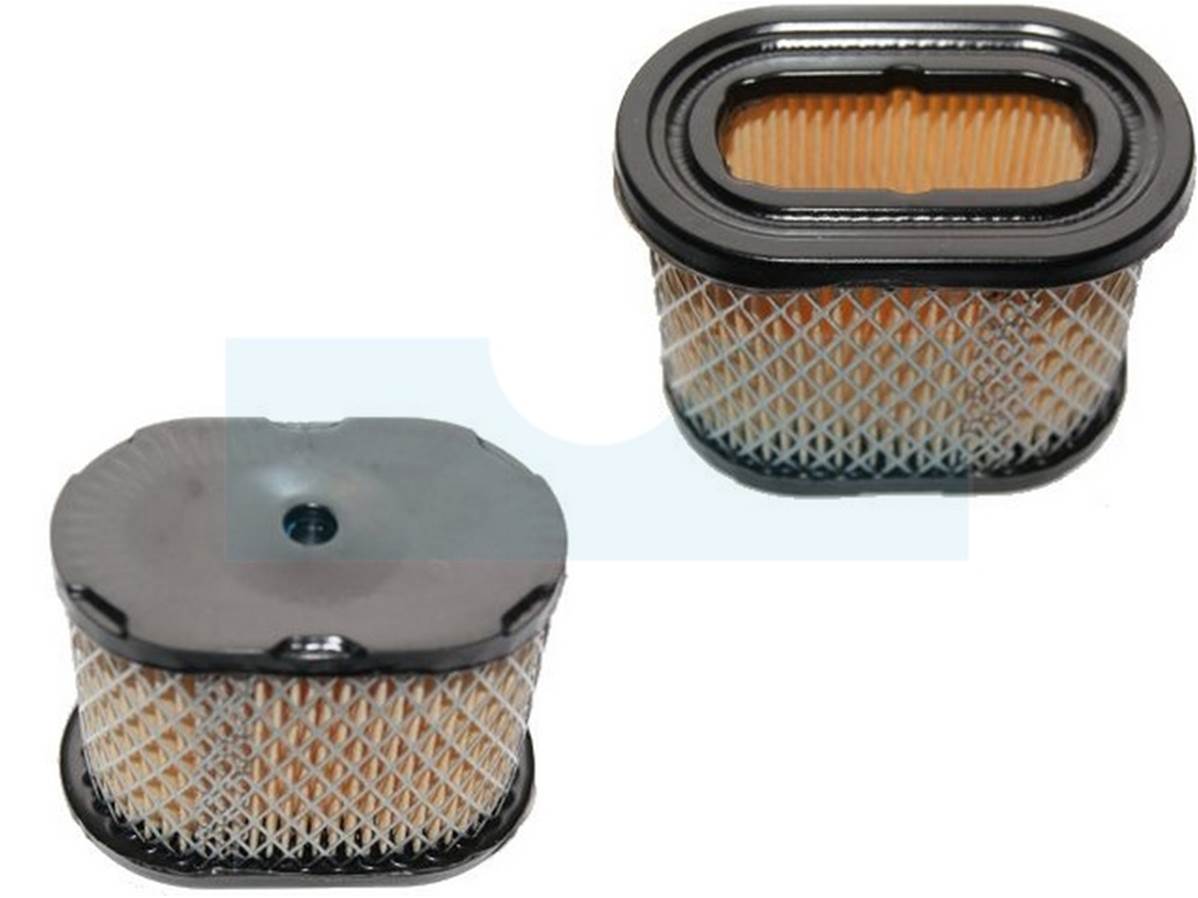 Filtre à air moteur Briggs & Stratton 121600 690610 / 498596 / 697029 ...