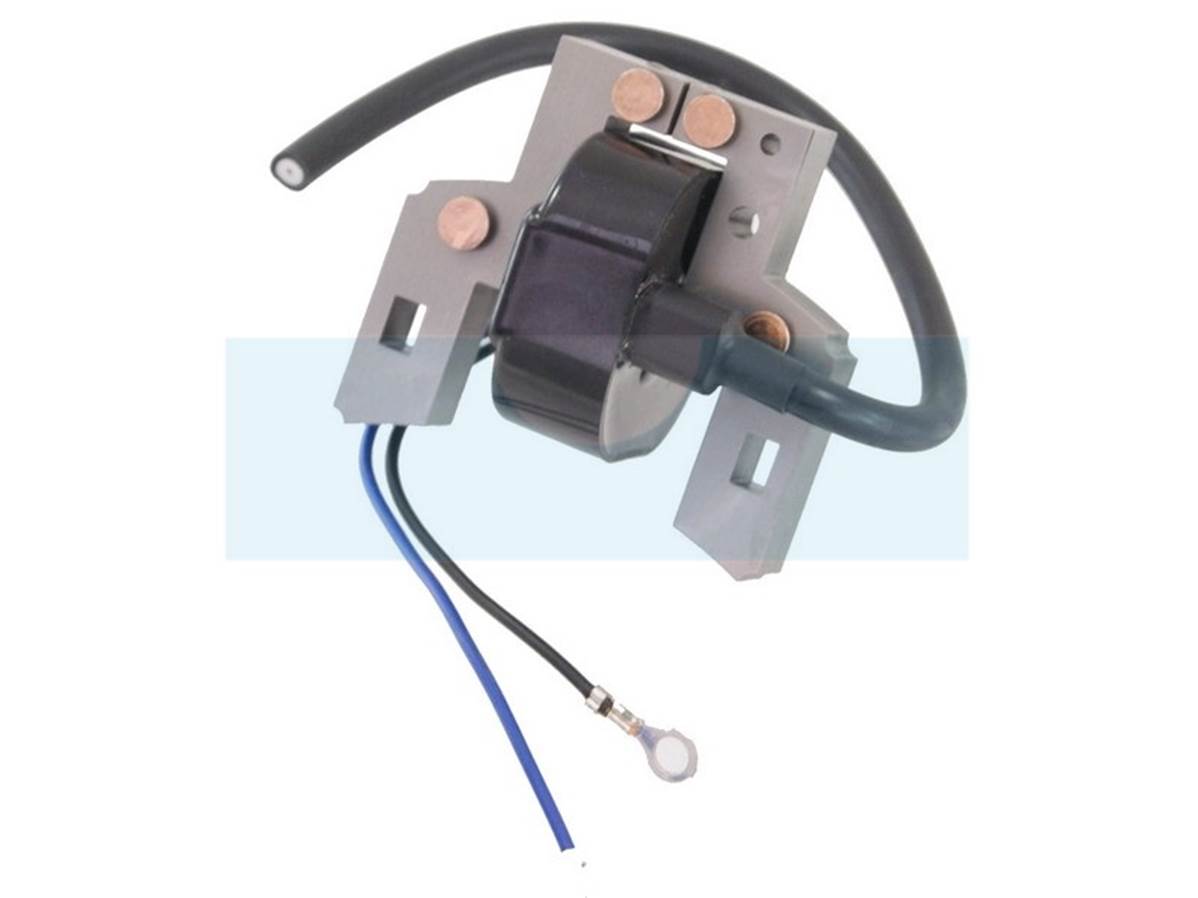 Bobine d'allumage pour moteur Briggs & Stratton (298316) 130200 ...