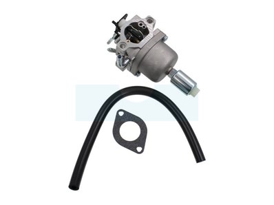 Carburateur pour moteur Briggs & Stratton (794572) 31A507 - 31A607 ...